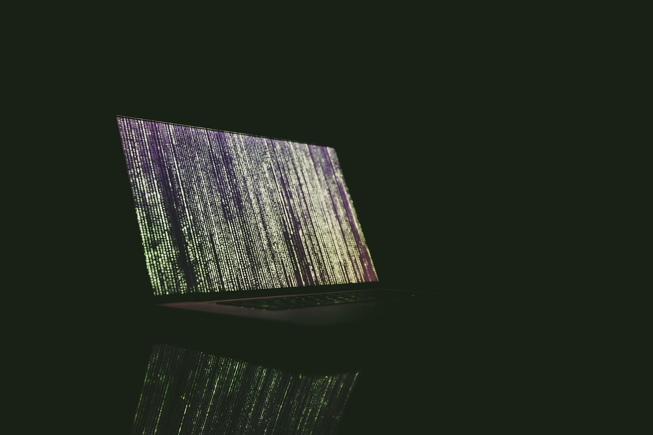 Public administration increasingly targeted by DDoS attacks - Threat Beat