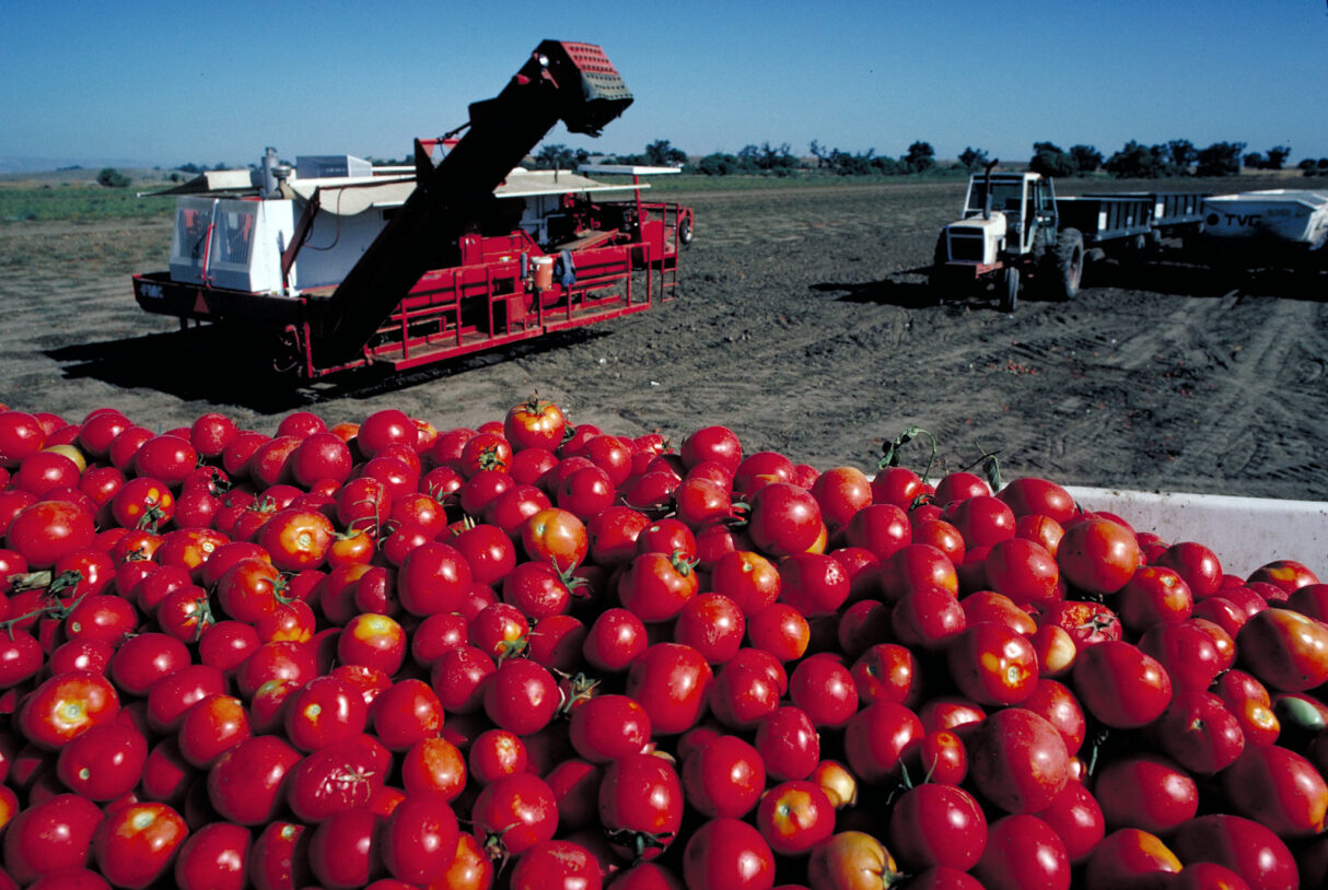 Food and ag sector weathers more ransomware attacks, braces for ...